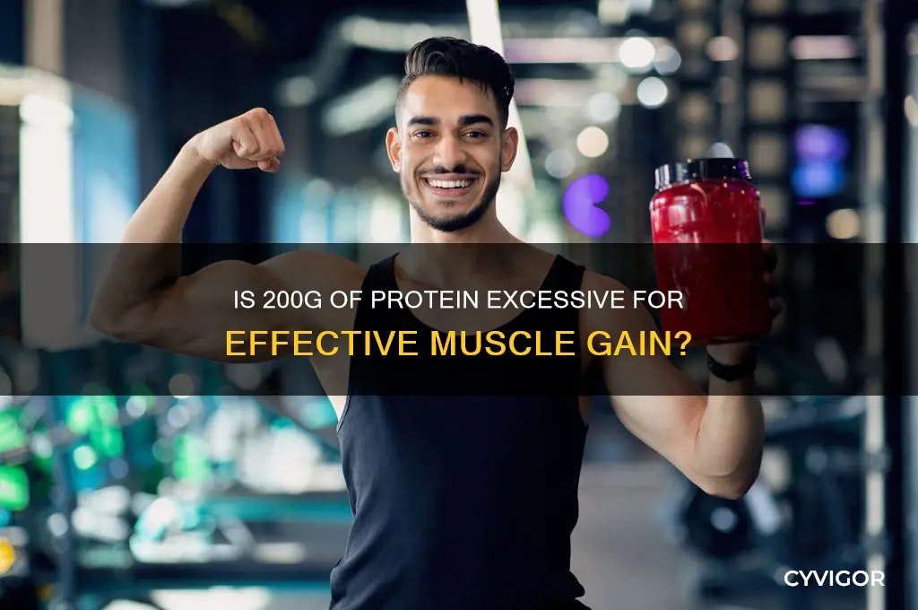 Is 200G Of Protein Excessive For Effective Muscle Gain? | CyVigor