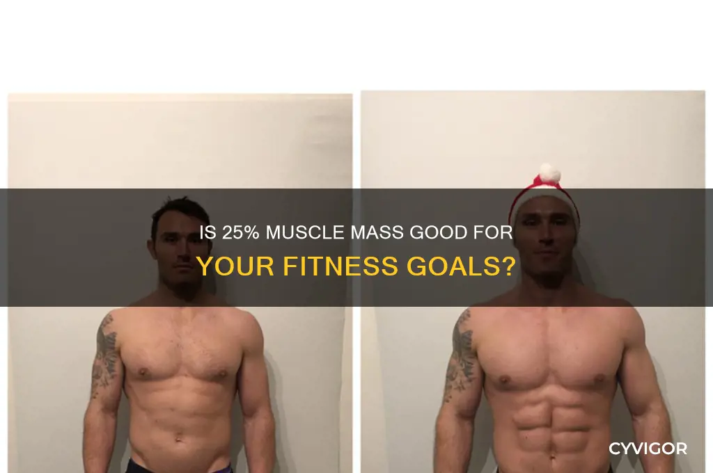 Is 25% Muscle Mass Good For Your Fitness Goals? | CyVigor