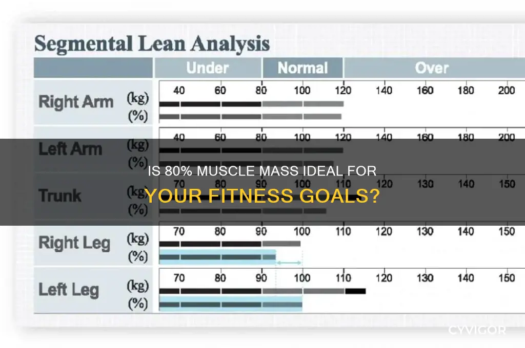 Is 80% Muscle Mass Ideal For Your Fitness Goals? | CyVigor