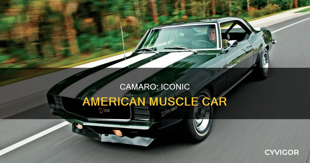 Camaro: Iconic American Muscle Car | CyVigor