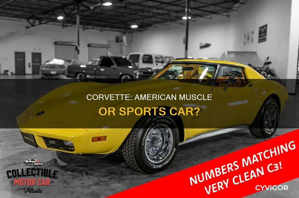 Corvette: American Muscle Or Sports Car? | CyVigor