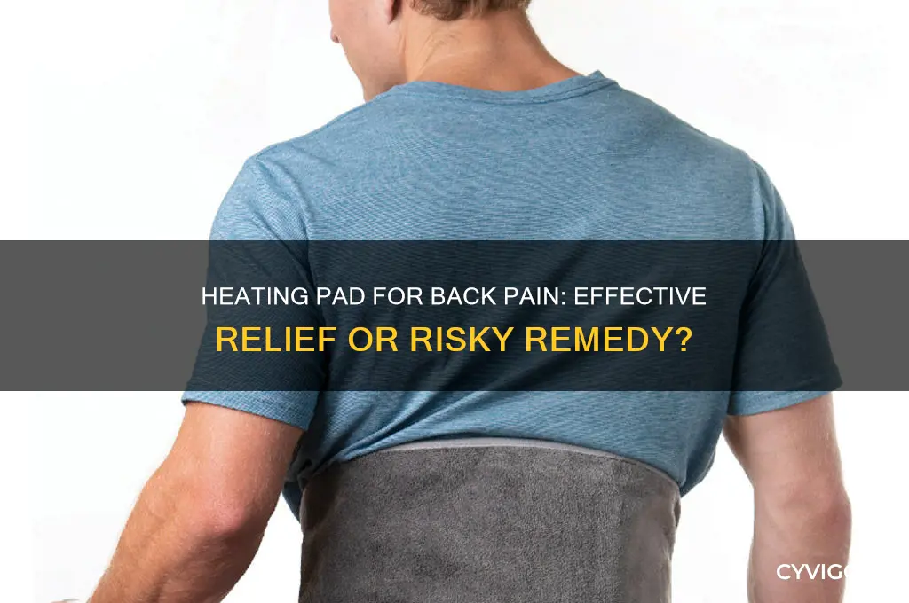 Heating Pad For Back Pain: Effective Relief Or Risky Remedy? | CyVigor