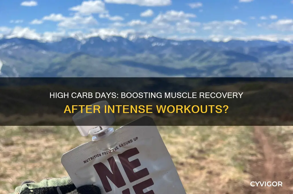 High Carb Days: Boosting Muscle Recovery After Intense Workouts? | CyVigor