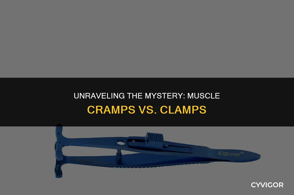 Unraveling The Mystery: Muscle Cramps Vs. Clamps | CyVigor
