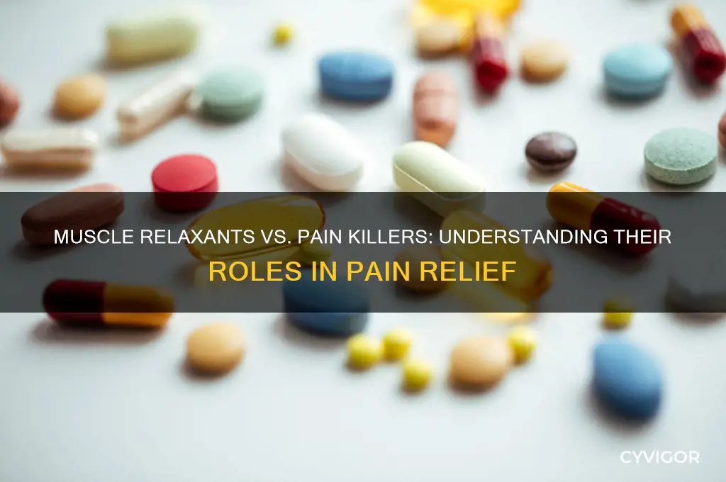 Muscle Relaxants Vs. Pain Killers: Understanding Their Roles In Pain ...