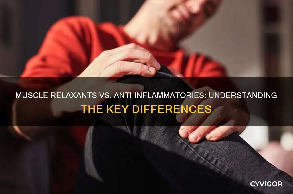 Muscle Relaxants Vs. Anti-Inflammatories: Understanding The Key ...