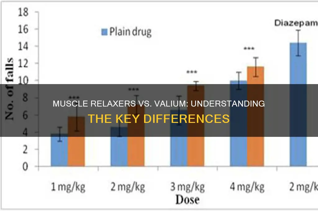 Muscle Relaxers Vs. Valium: Understanding The Key Differences | CyVigor