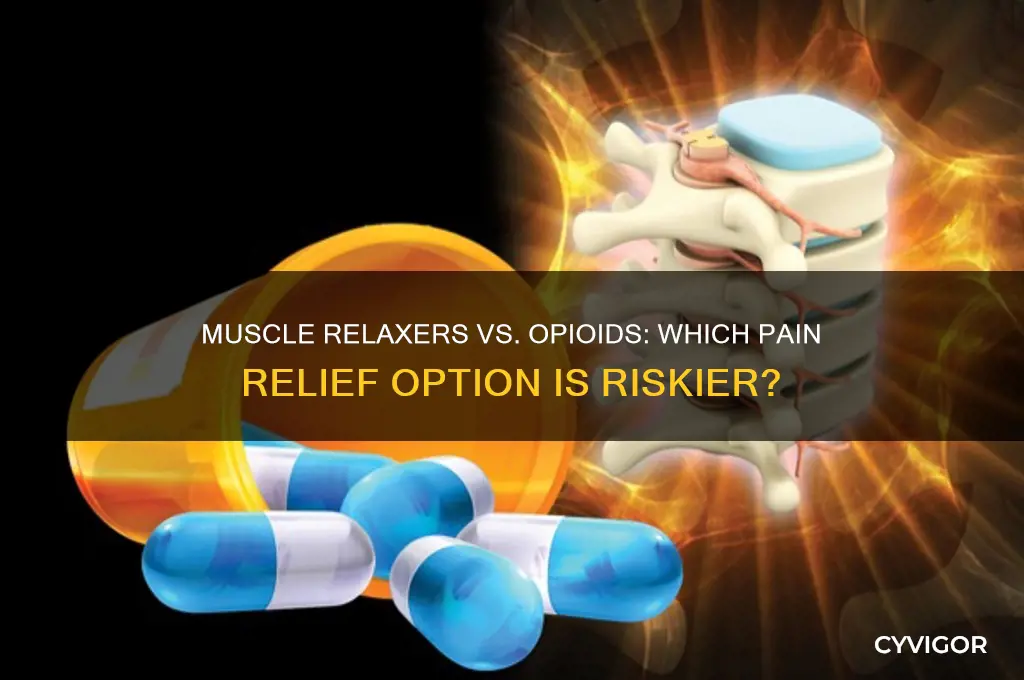 Muscle Relaxers Vs. Opioids: Which Pain Relief Option Is Riskier? | CyVigor