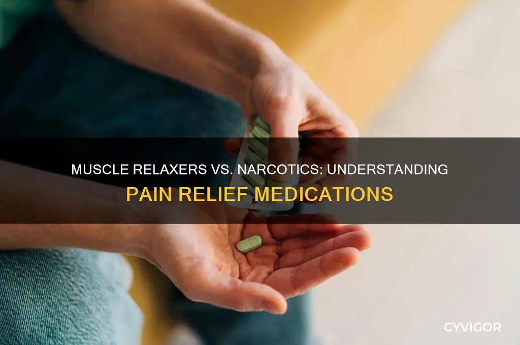 Muscle Relaxers Vs. Narcotics: Understanding Pain Relief Medications ...