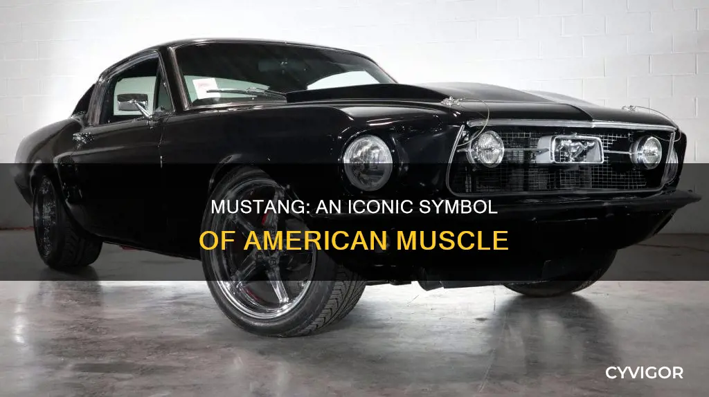 Mustang: An Iconic Symbol Of American Muscle | CyVigor