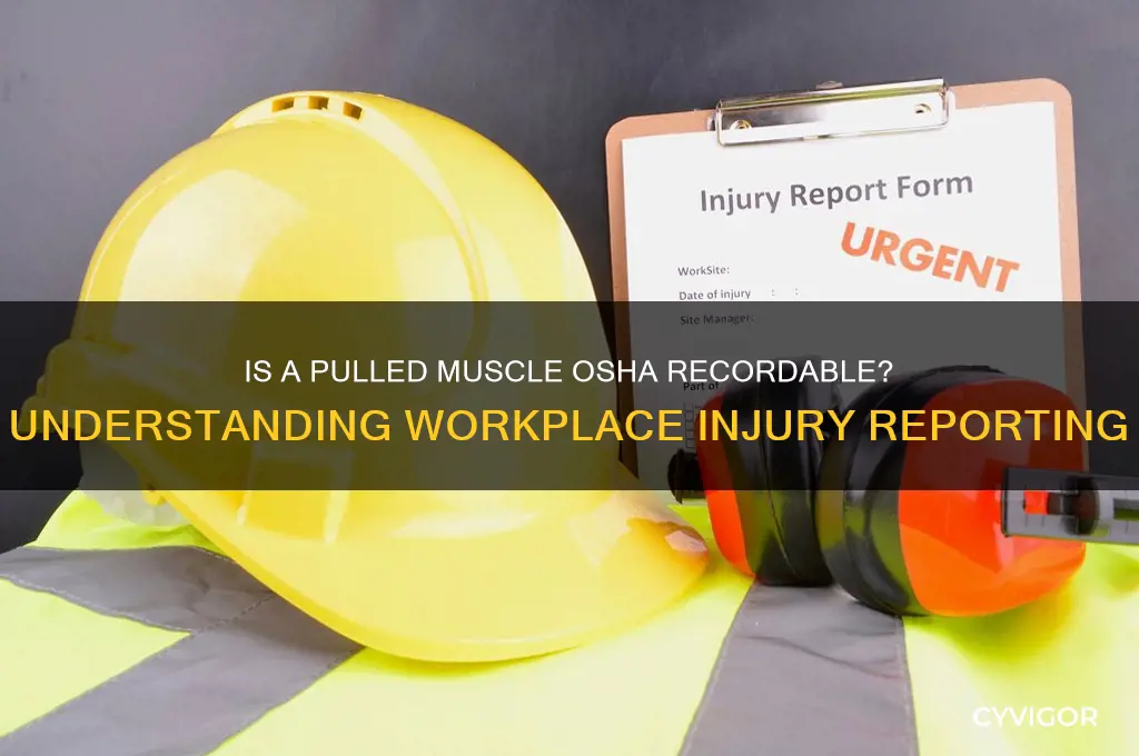 Is A Pulled Muscle Osha Recordable? Understanding Workplace Injury ...