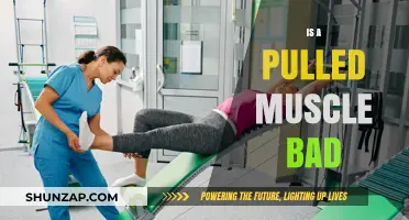 Pulled Muscle Vs. Tear: Understanding The Difference And Recovery | CyVigor