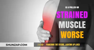 Pulled Muscle Vs. Tear: Understanding The Difference And Recovery | CyVigor