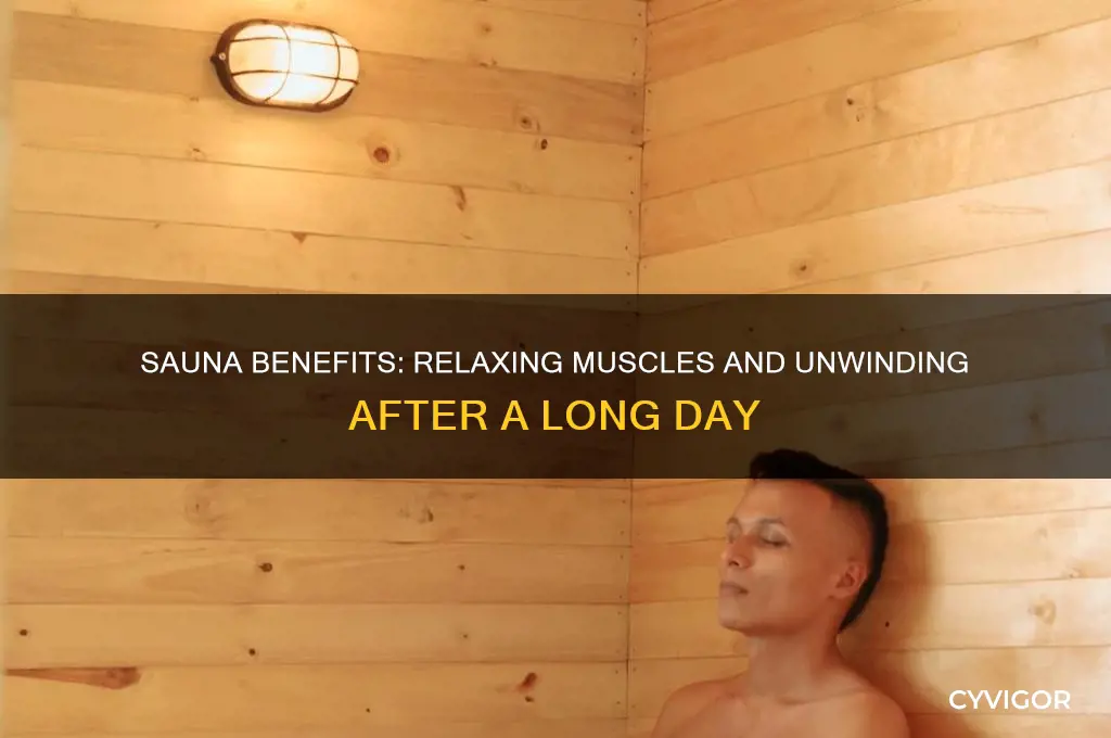 Sauna Benefits: Relaxing Muscles And Unwinding After A Long Day | CyVigor