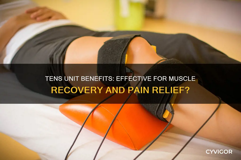 Tens Unit Benefits: Effective For Muscle Recovery And Pain Relief ...