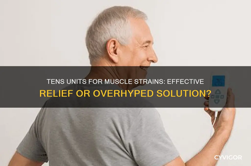 Tens Units For Muscle Strains: Effective Relief Or Overhyped Solution ...