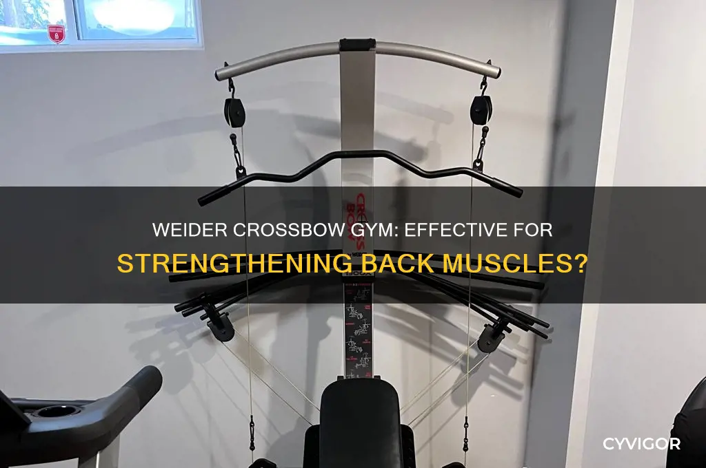 Weider Crossbow Gym: Effective For Strengthening Back Muscles? | CyVigor