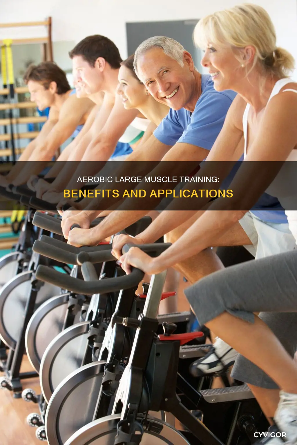 Aerobic Large Muscle Training: Benefits And Applications | CyVigor