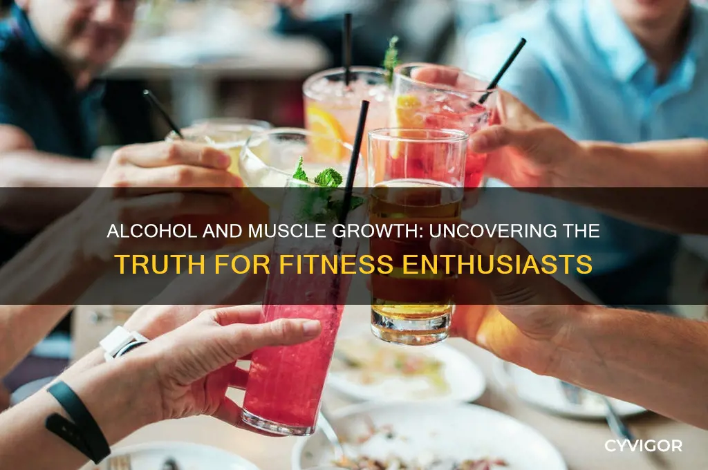 Alcohol And Muscle Growth: Uncovering The Truth For Fitness Enthusiasts ...