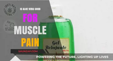 Advil Vs. Tylenol: Which Relieves Muscle And Joint Pain Better? | CyVigor