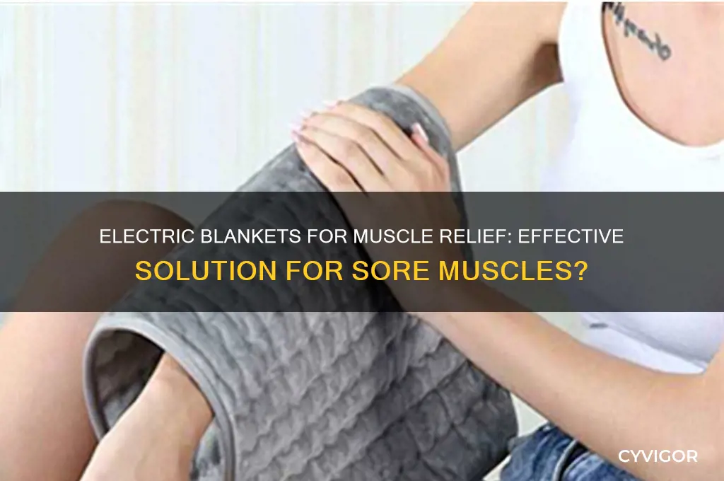 Electric Blankets For Muscle Relief: Effective Solution For Sore ...