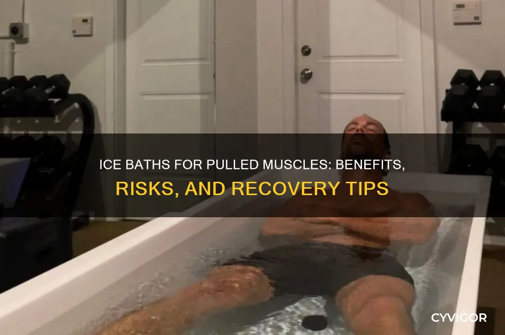 Ice Baths For Pulled Muscles: Benefits, Risks, And Recovery Tips | CyVigor