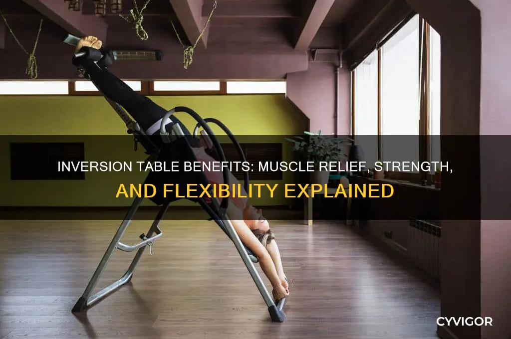 Inversion Table Benefits: Muscle Relief, Strength, And Flexibility ...