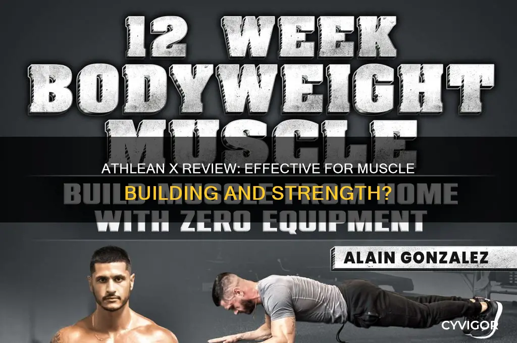 Athlean X Review: Effective For Muscle Building And Strength? | CyVigor