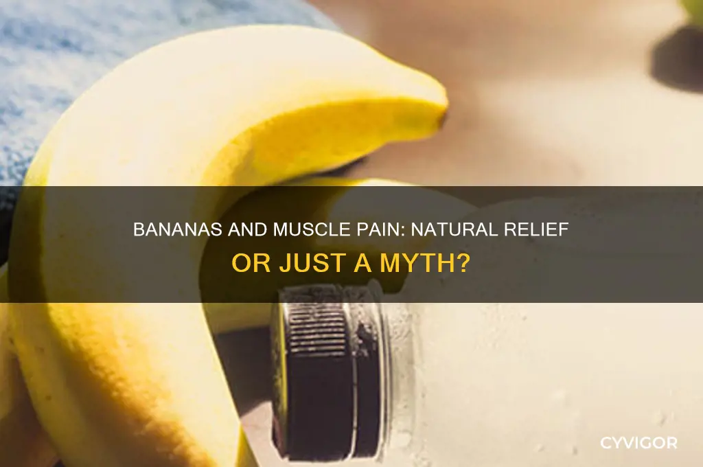 Bananas And Muscle Pain: Natural Relief Or Just A Myth? | CyVigor