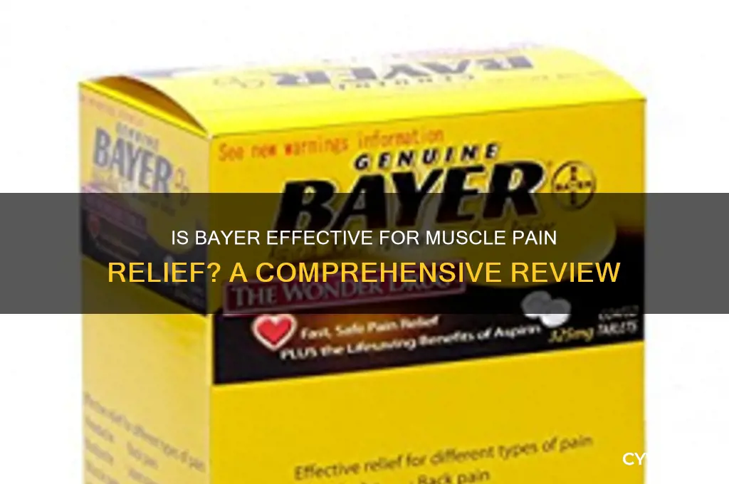 Is Bayer Effective For Muscle Pain Relief? A Comprehensive Review | CyVigor