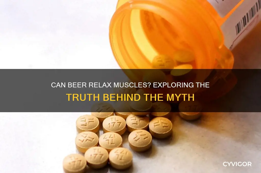 Can Beer Relax Muscles? Exploring The Truth Behind The Myth | CyVigor