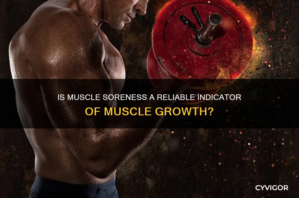 Is Muscle Soreness A Reliable Indicator Of Muscle Growth? | CyVigor