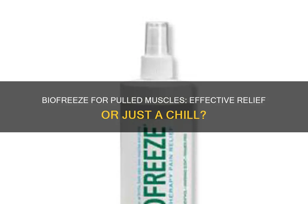 Biofreeze For Pulled Muscles: Effective Relief Or Just A Chill? | CyVigor