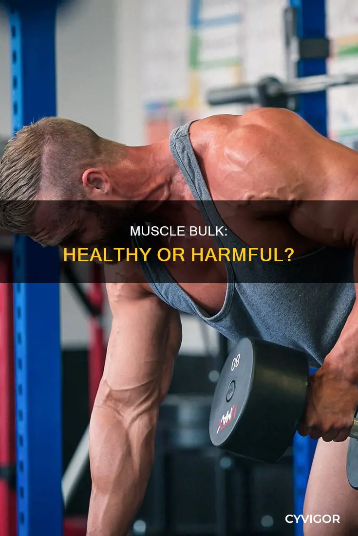 Muscle Bulk: Healthy Or Harmful? | CyVigor