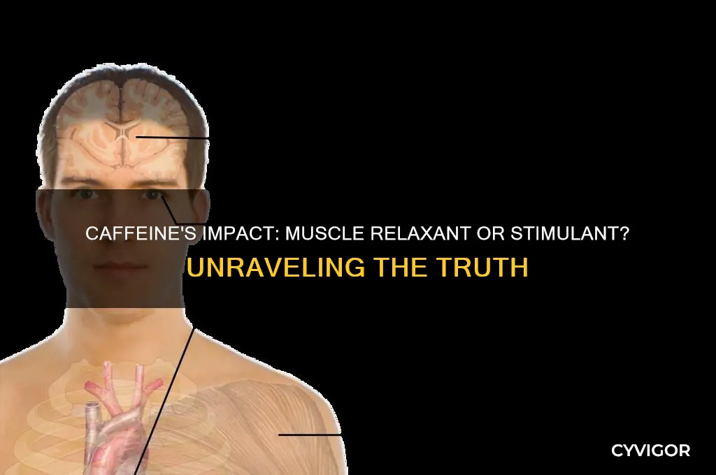 Caffeine's Impact: Muscle Relaxant Or Stimulant? Unraveling The Truth ...