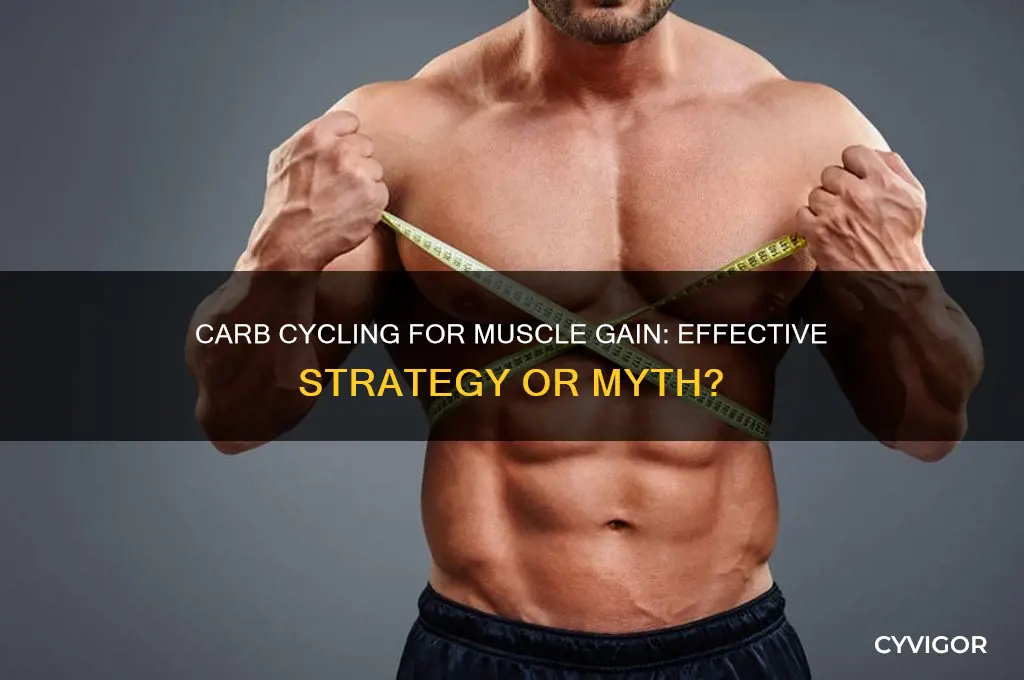 Carb Cycling For Muscle Gain: Effective Strategy Or Myth? | CyVigor