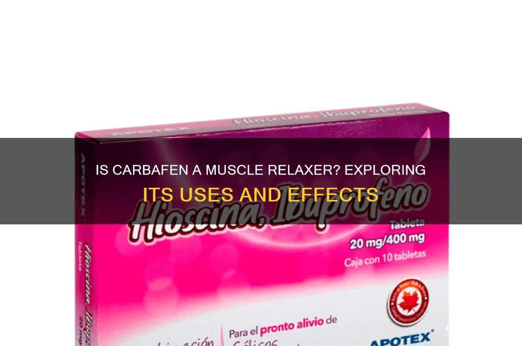 Is Carbafen A Muscle Relaxer? Exploring Its Uses And Effects | CyVigor