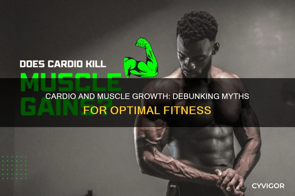 Cardio And Muscle Growth: Debunking Myths For Optimal Fitness | CyVigor