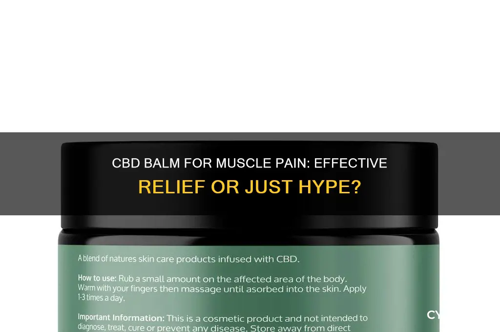 Cbd Balm For Muscle Pain: Effective Relief Or Just Hype? | CyVigor