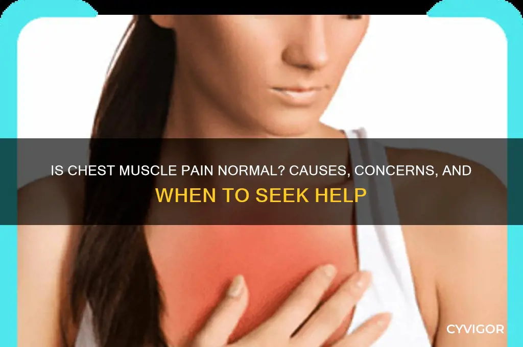 Is Chest Muscle Pain Normal? Causes, Concerns, And When To Seek Help ...