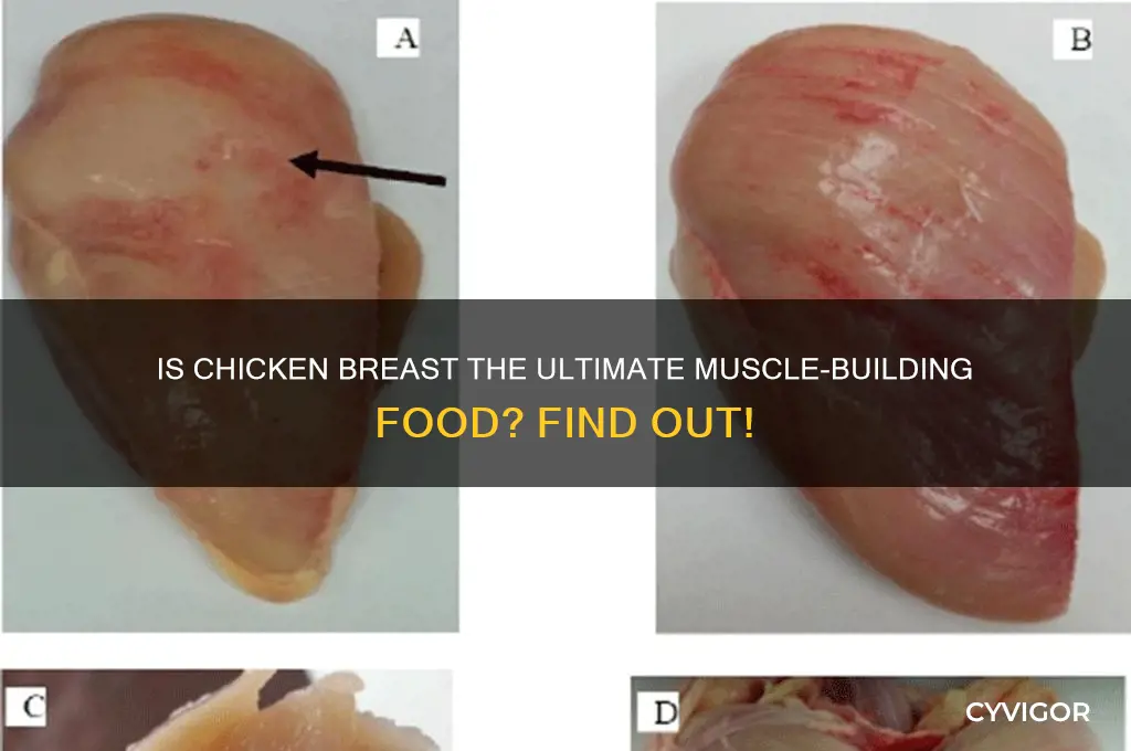 Is Chicken Breast The Ultimate Muscle-Building Food? Find Out! | CyVigor