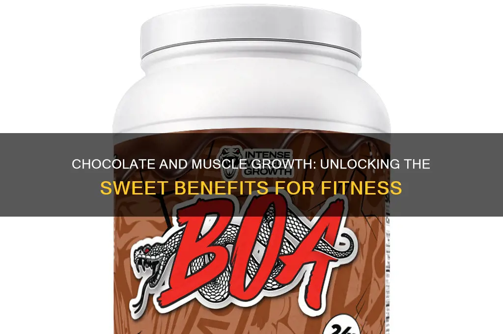 Chocolate And Muscle Growth: Unlocking The Sweet Benefits For Fitness ...