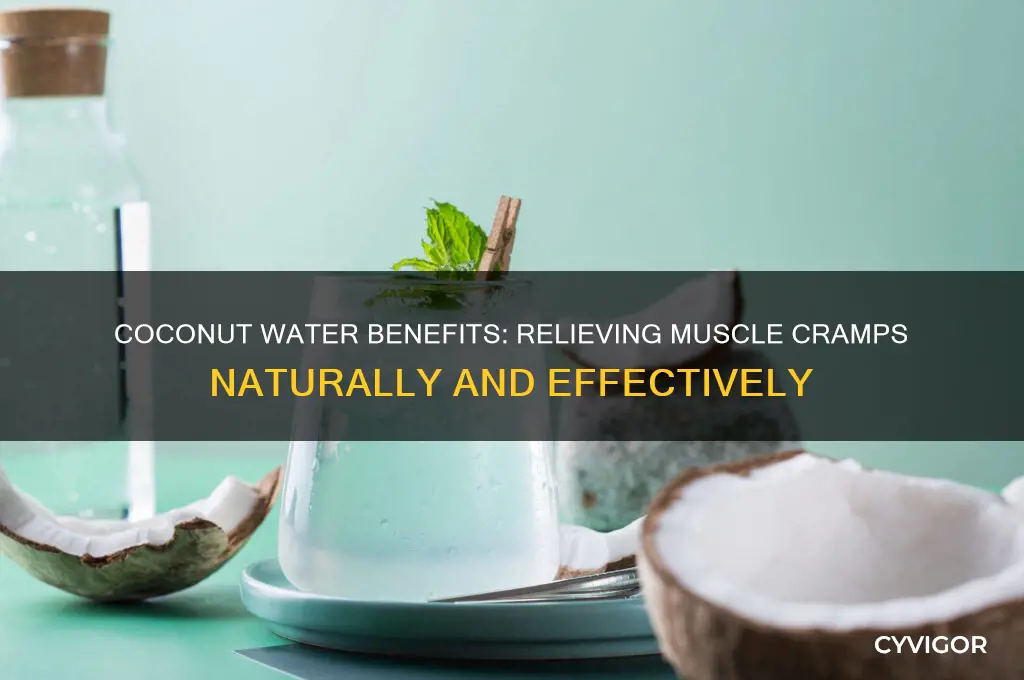 Coconut Water Benefits: Relieving Muscle Cramps Naturally And ...