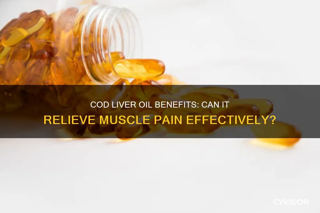 Cod Liver Oil Benefits: Can It Relieve Muscle Pain Effectively? | CyVigor