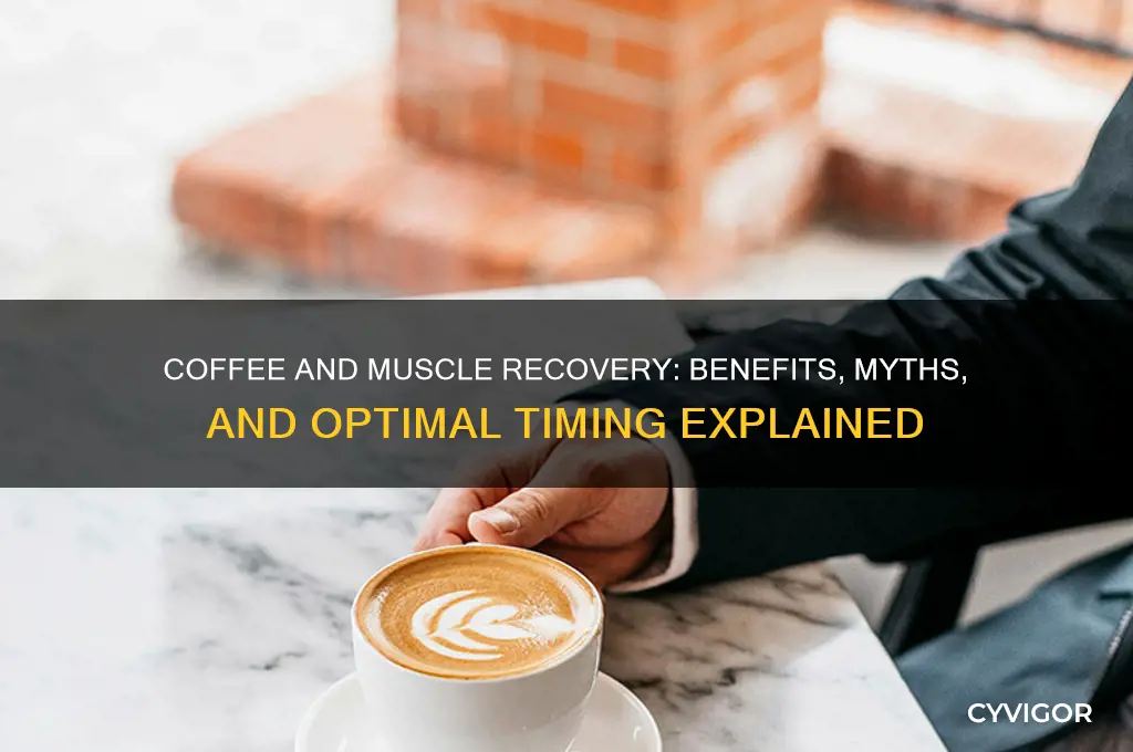 Coffee And Muscle Recovery: Benefits, Myths, And Optimal Timing ...