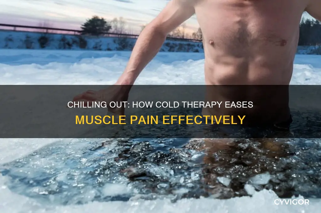 Chilling Out: How Cold Therapy Eases Muscle Pain Effectively | CyVigor