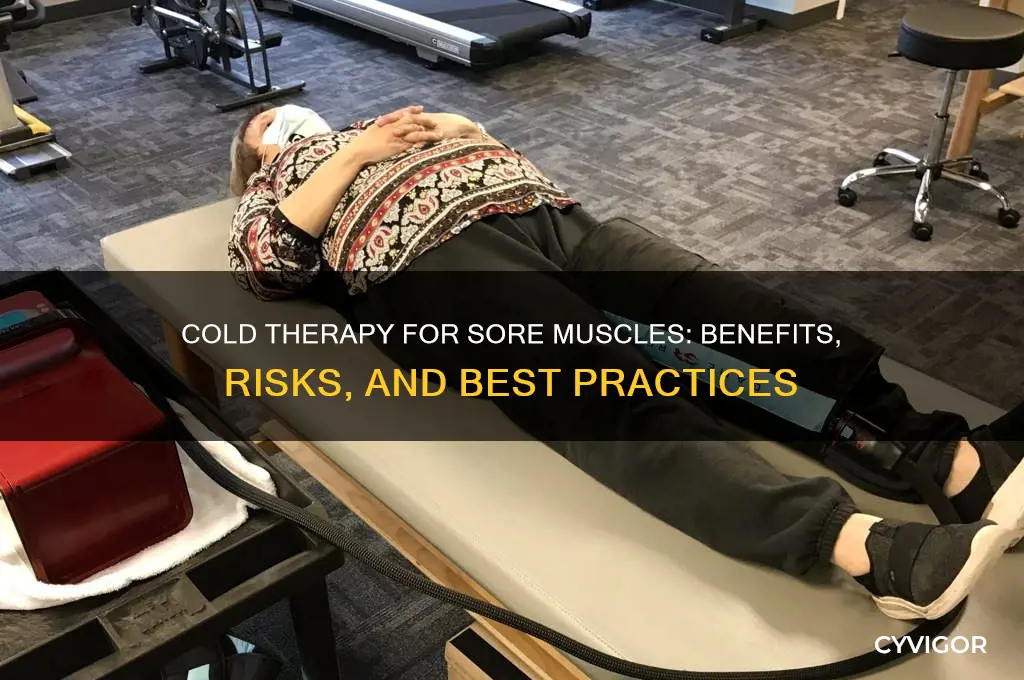 Cold Therapy For Sore Muscles: Benefits, Risks, And Best Practices ...