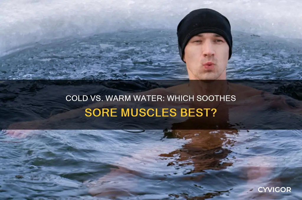 Cold Vs. Warm Water: Which Soothes Sore Muscles Best? | CyVigor