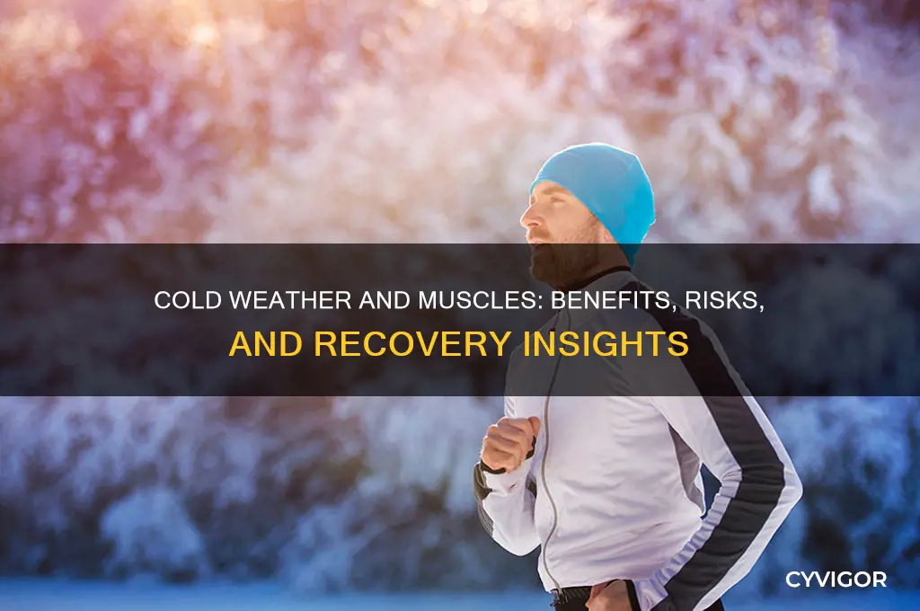 Cold Weather And Muscles: Benefits, Risks, And Recovery Insights | CyVigor