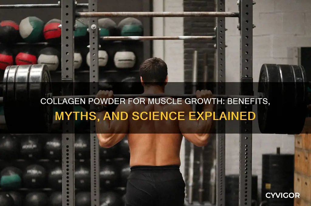 Collagen Powder For Muscle Growth: Benefits, Myths, And Science ...